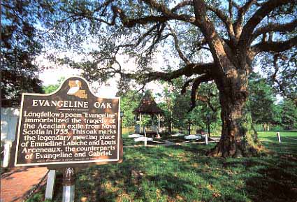 Evangeline Oak Flags of the Confederacy - Louisiana Gifts and Gallery, Inc.